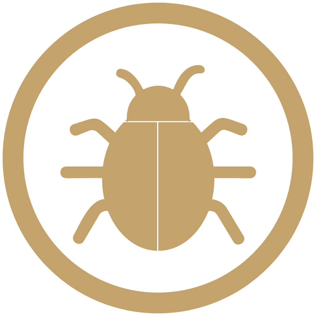 Services - Beyond Cloud Consulting